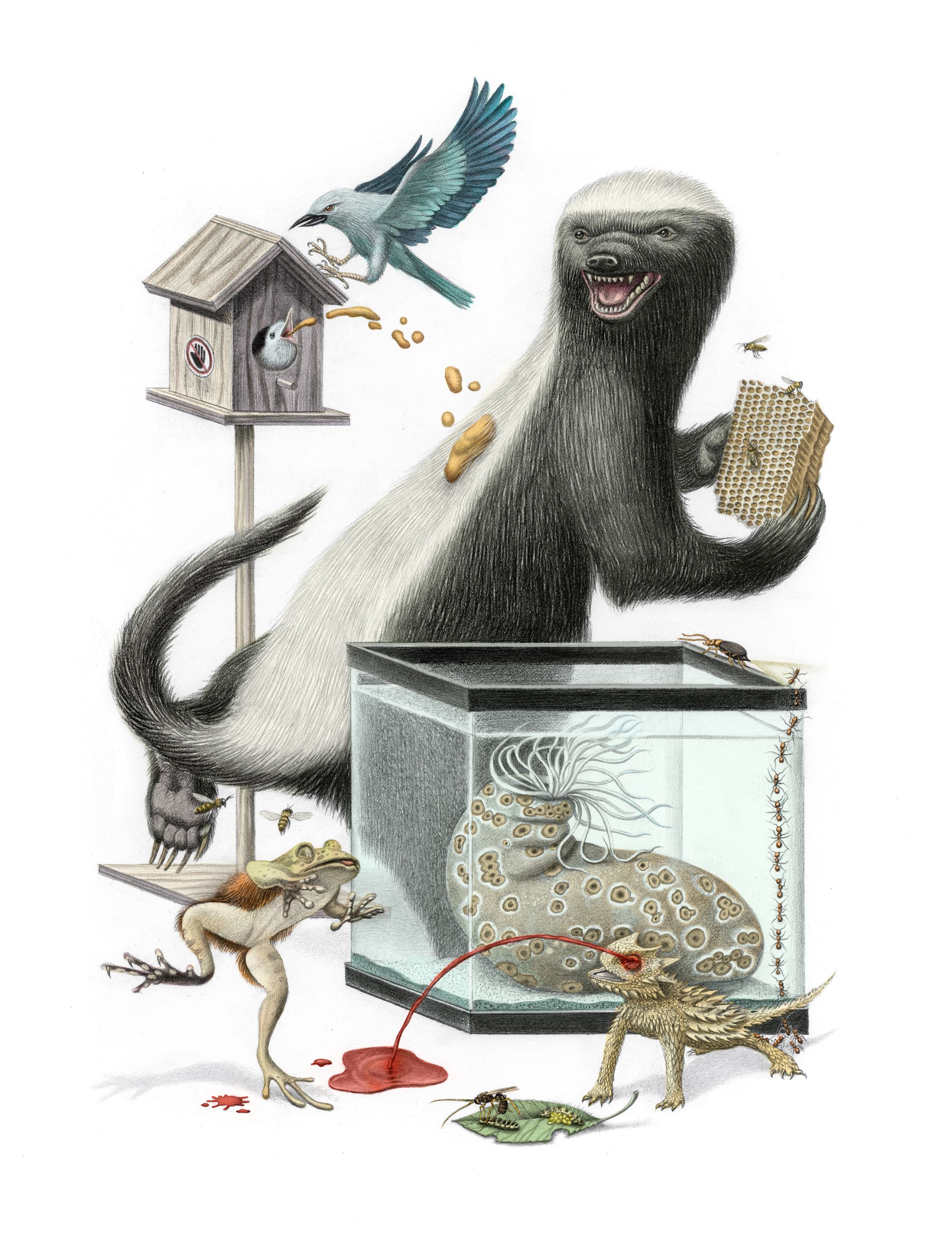 Armando Veve | Disgusting Animals